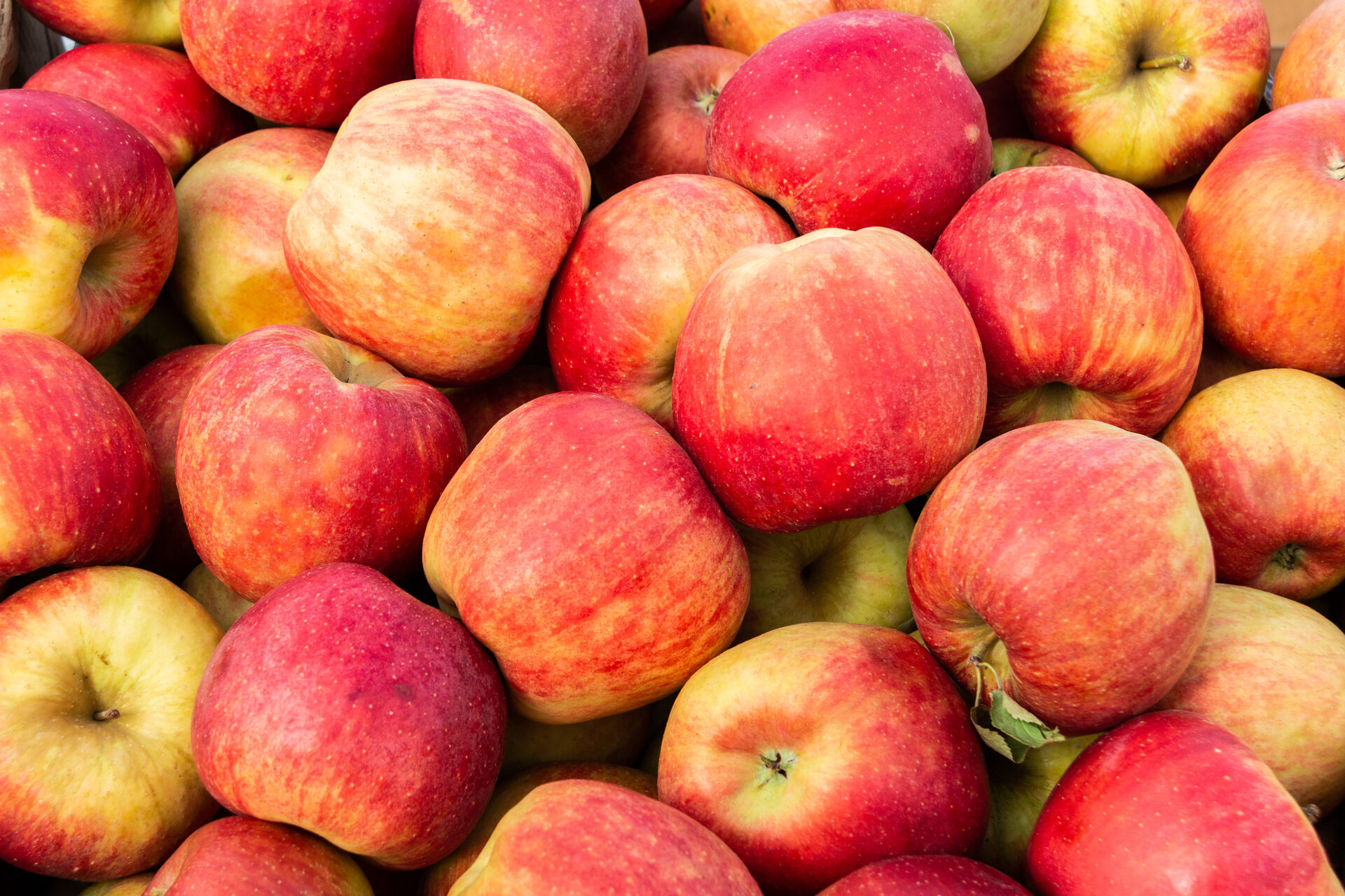 How To Fight Inflammation With One Drink - Shine My Crown