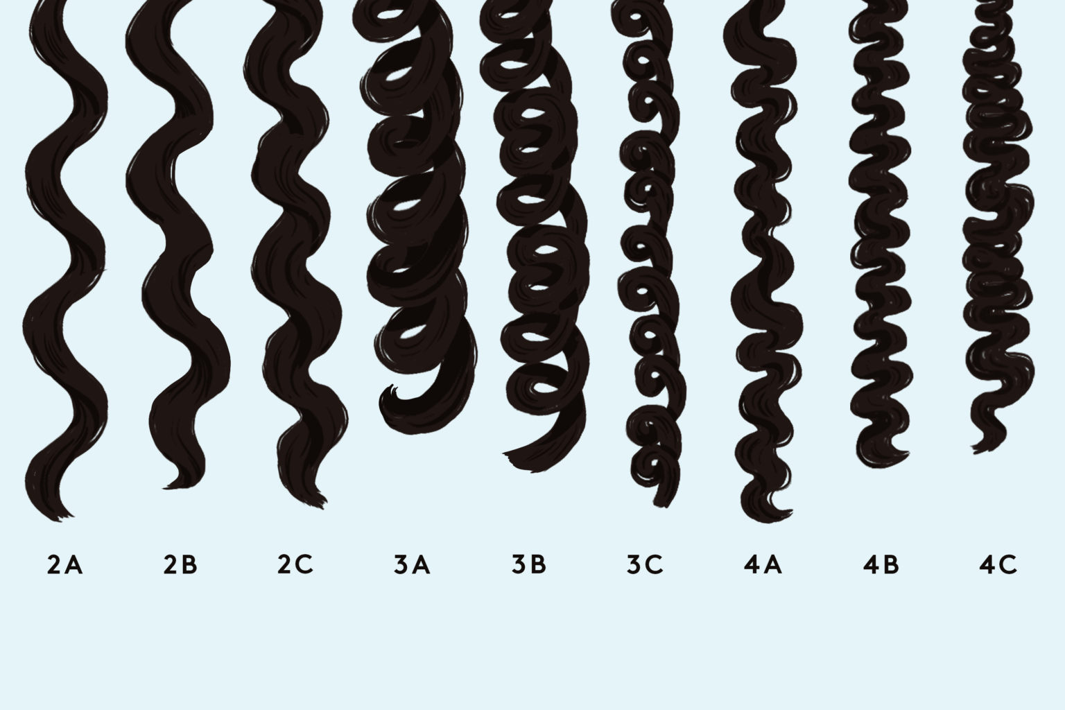 Discrimination Against Curly Hair, An Inside Look Inside Texturism ...