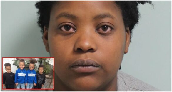 Home - Shine My Crown